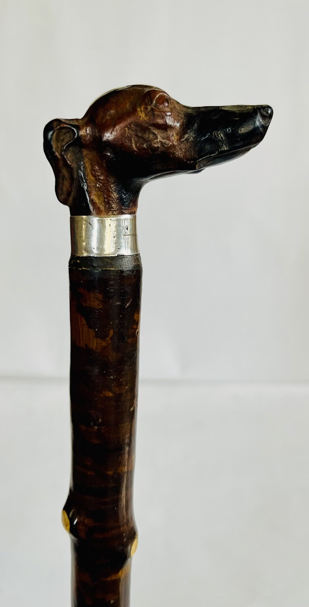 Proantic: Walking Stick